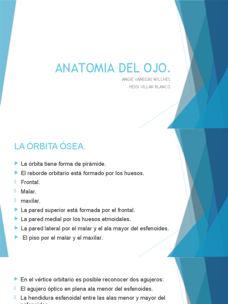 Anatomia Del Ojo | PDF | Ojo humano | Córnea