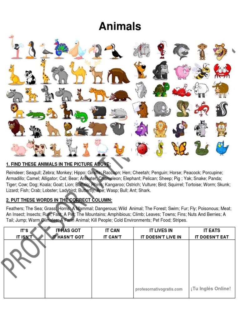 A Comprehensive Guide to Common Animals: Their Attributes and Habitats ...