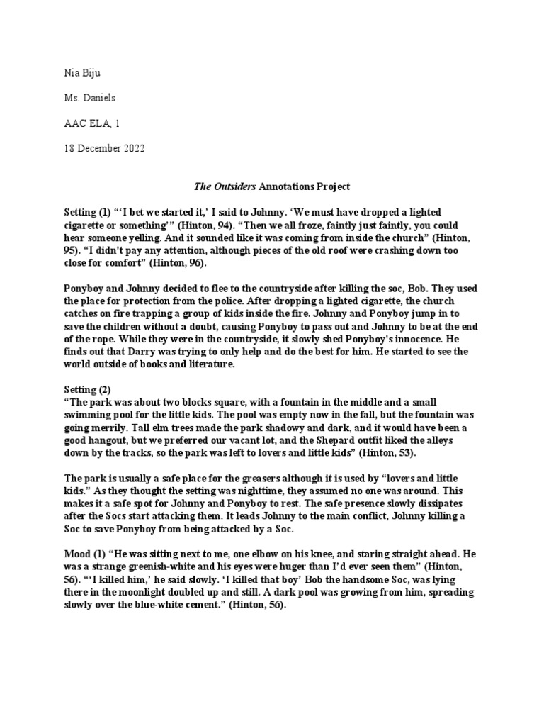 Annotation Project For The Outsiders | PDF