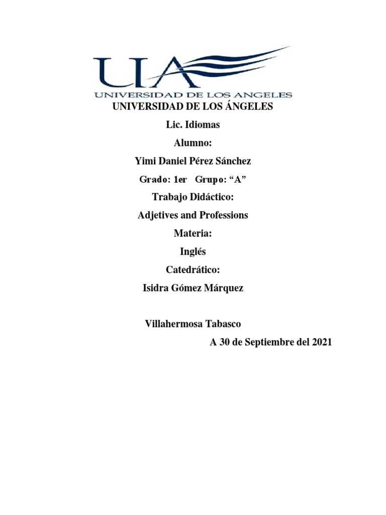 Adjectives and Professions Explained | PDF