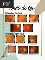 Manual - Rabia en Humano | PDF | Inmunofluorescencia | Rabia