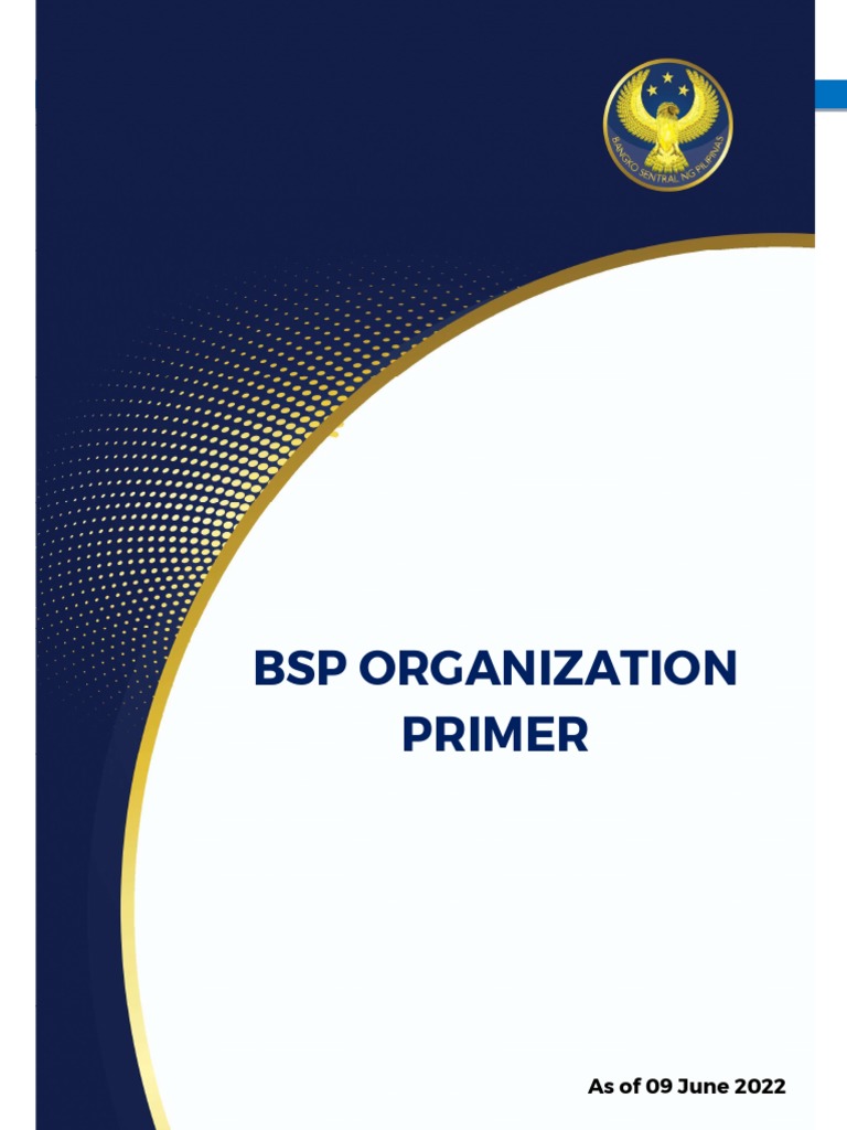 BSP Organization Primer | PDF | Money Laundering | Computer Security
