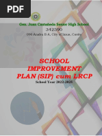 Sample Actual SIP | PDF | Schools | Literacy