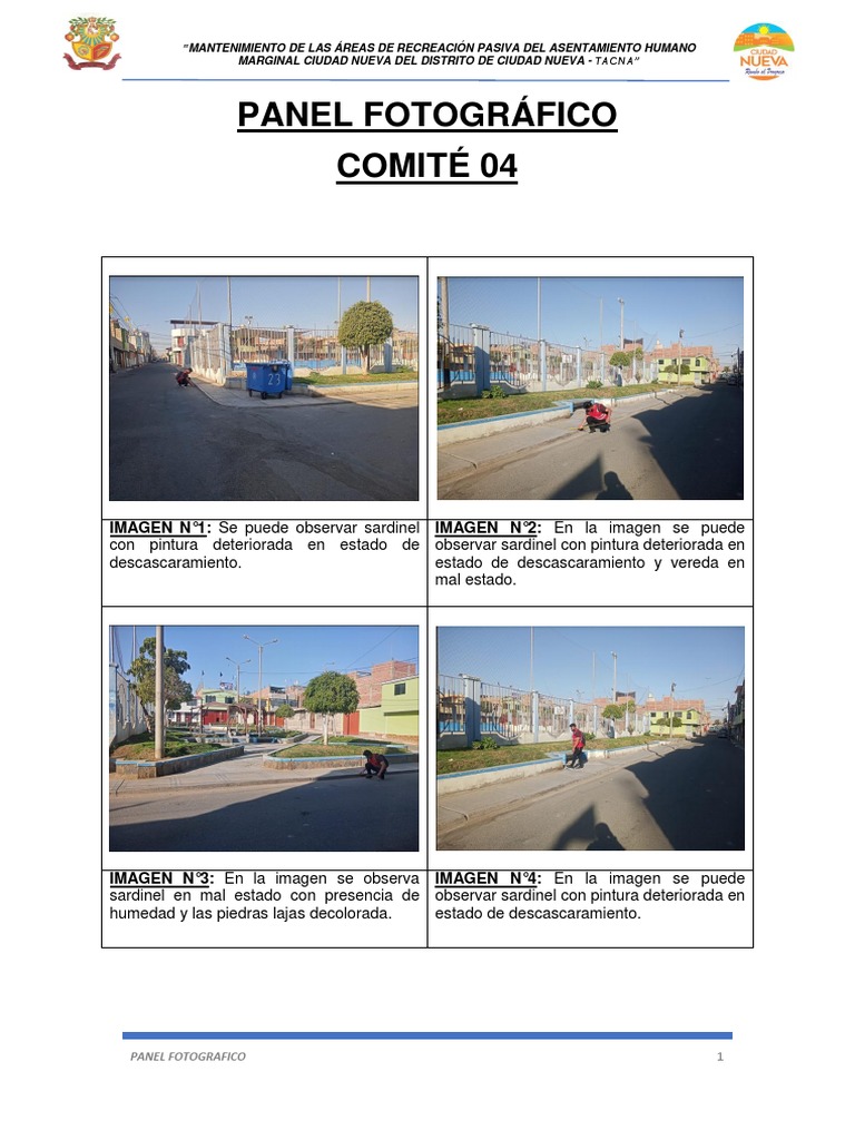 Panel Fotográfico c4 | PDF