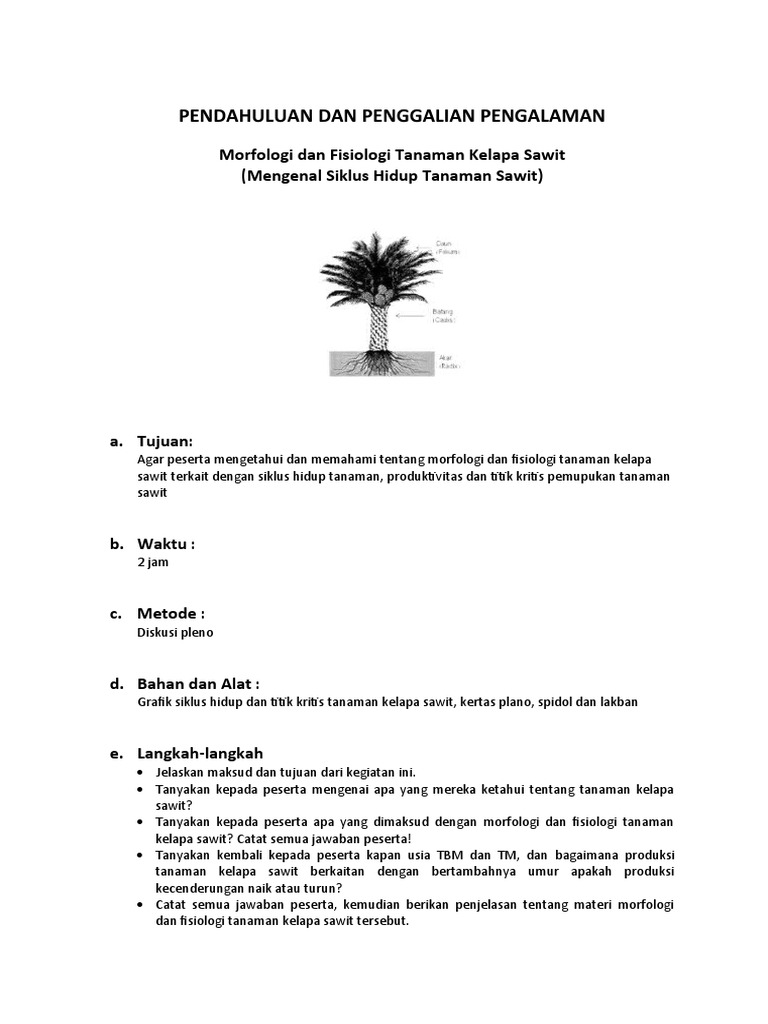 Morfologi Dan Fisiologi Kelapa Sawit - TM.052017 | PDF