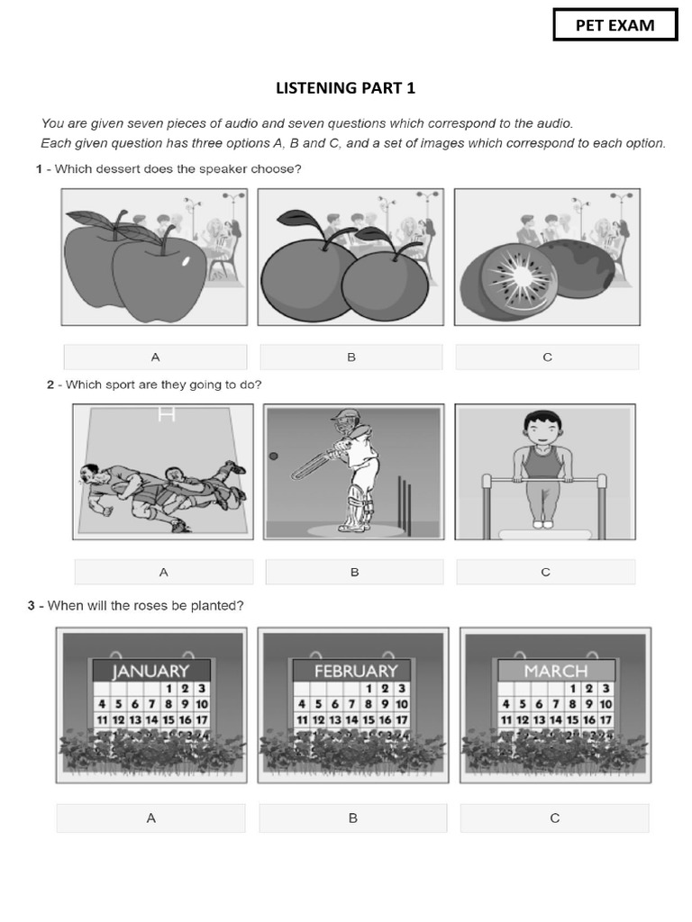 Pet Exam (Practice | PDF