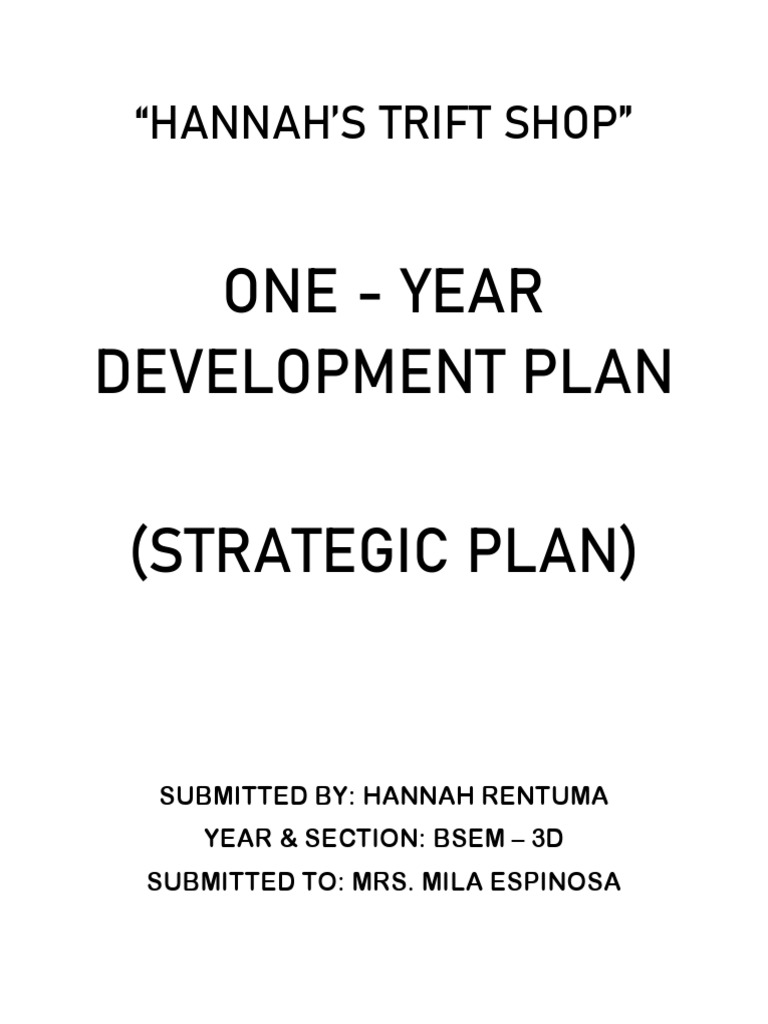 1 Year Development Plan | PDF | Retail | Sales