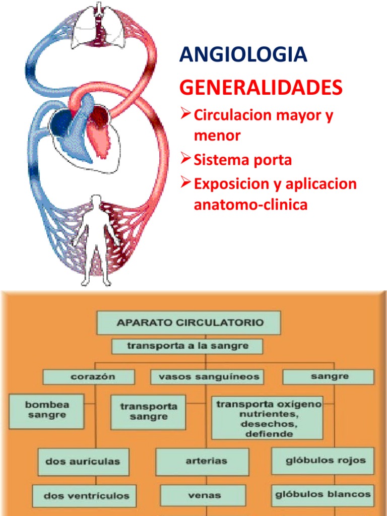 Angiología | PDF