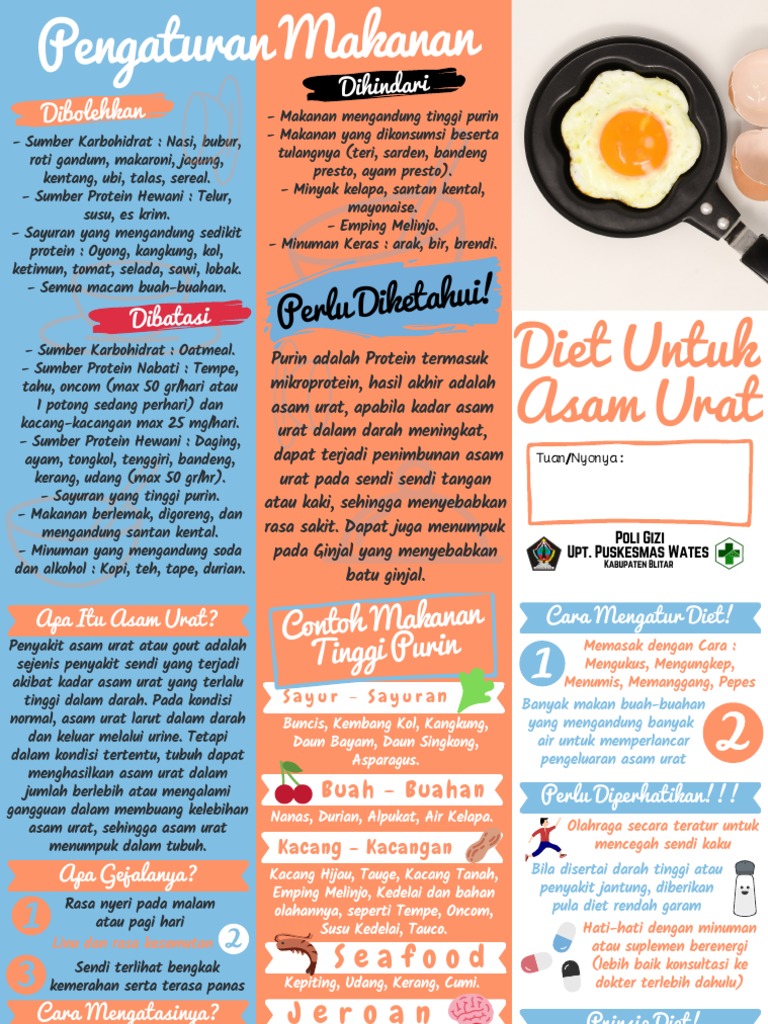 Diet Untuk Asam Urat | PDF