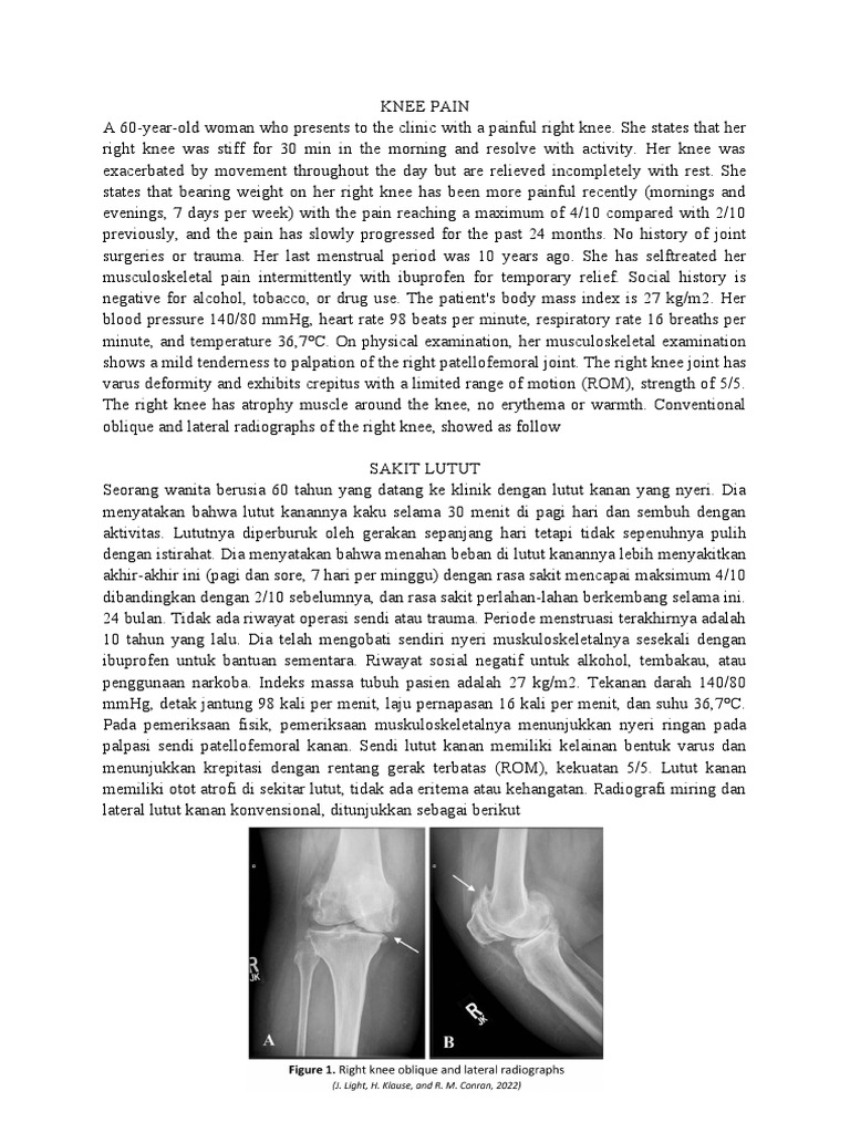 Knee Pain | PDF