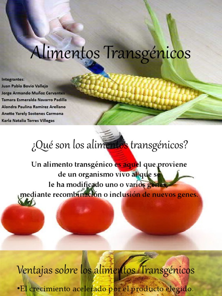 Alimentos Transgénicos | PDF