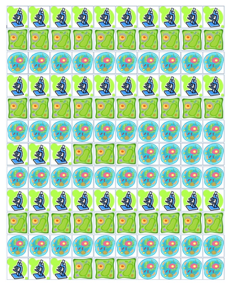 Chips For Recitation | PDF