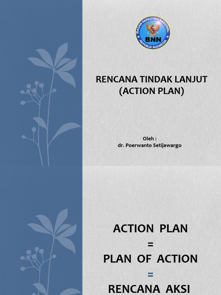 Action Plan | PDF