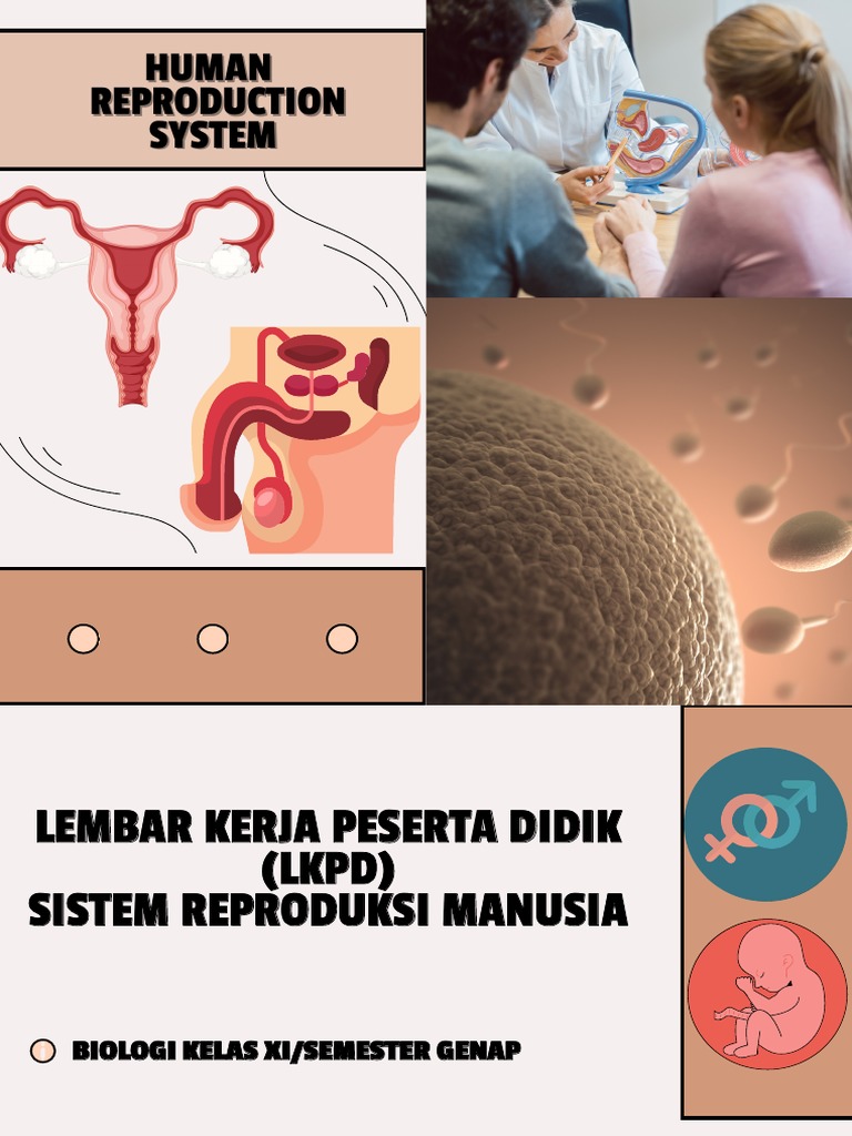 LKPD - Sistem Reproduksi Manusia | PDF