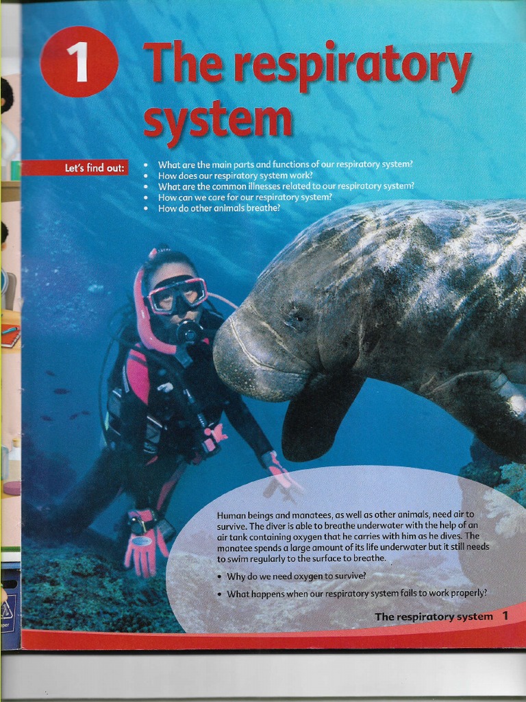 MPH Science 5A Unit 1 | PDF