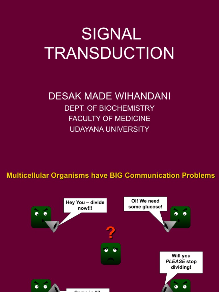 Understanding Cell Signaling: An Overview of Signal Transduction ...