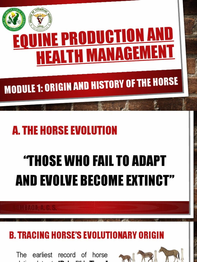 Equine Production And Health Management Pdf Horses Equestrianism