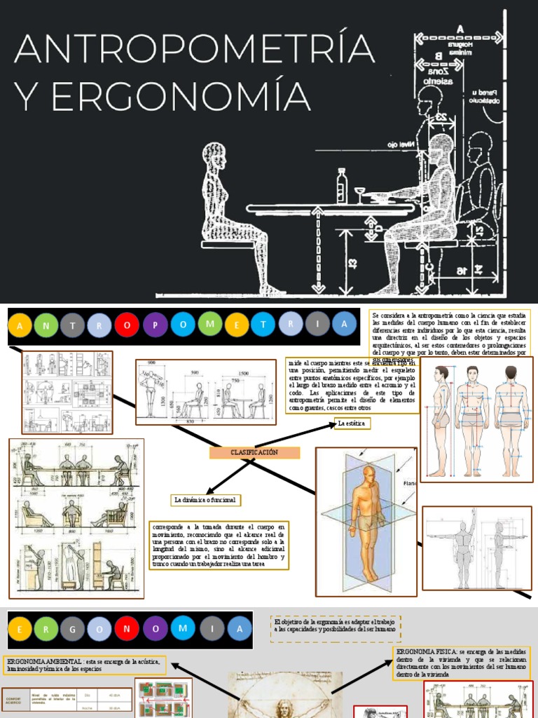 Antropometria y Ergonomia | PDF | Factores humanos y ergonomía | Antropometría