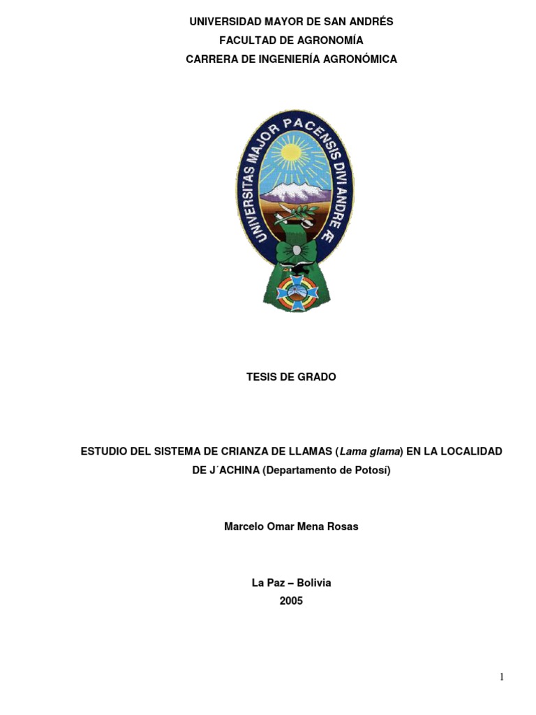 Crianza de llamas en J'achina, Bolivia | PDF | Bolivia | Agricultura