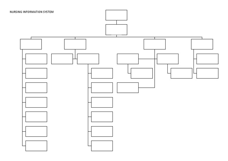 Nursing Information System Pdf