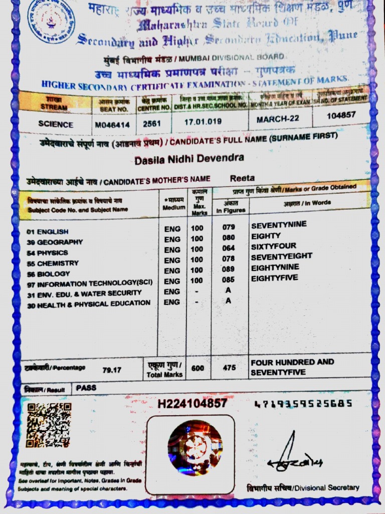 12 TH Marksheet | PDF