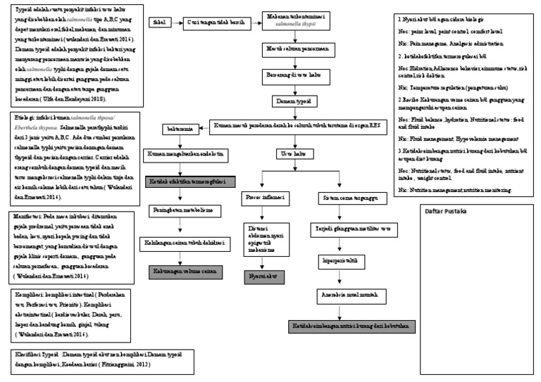 LP Demam Typoid | PDF