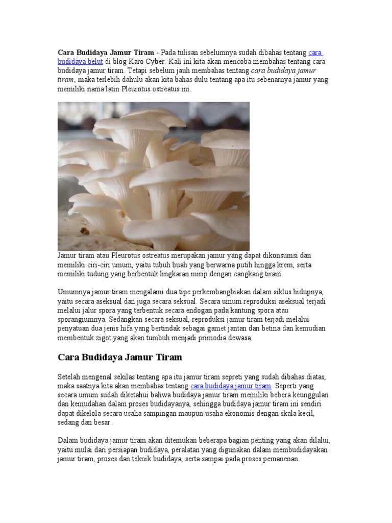 Cara Budidaya Jamur Tiram | PDF