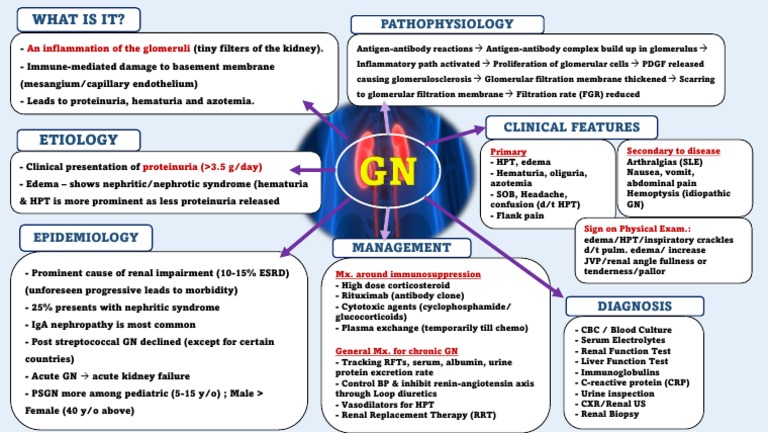 Glomerulonephritis Mindmap | PDF | Kidney | Internal Medicine