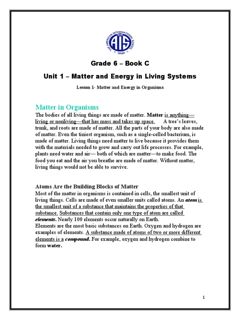 Gr6 Matter and Energy in Ecosystem | PDF | Chemical Reactions | Photosynthesis