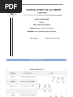 Test de Adams | PDF | Escoliosis | Especialidades Medicas