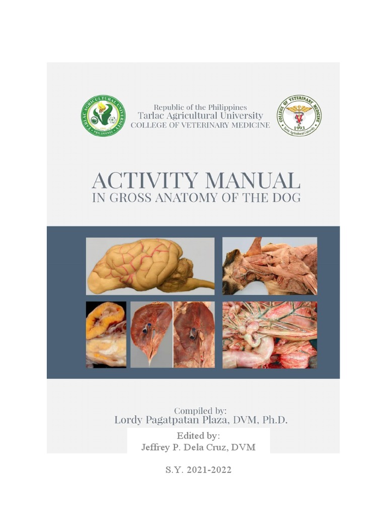 Gross Anatomy of The Dog. Activity Manual | PDF | Skin | Epidermis