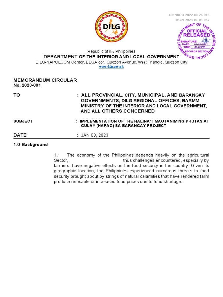 Dilg MEMO HAPAG | PDF
