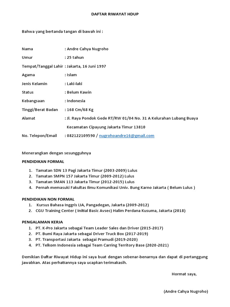 Daftar Riwayat Hdup | PDF