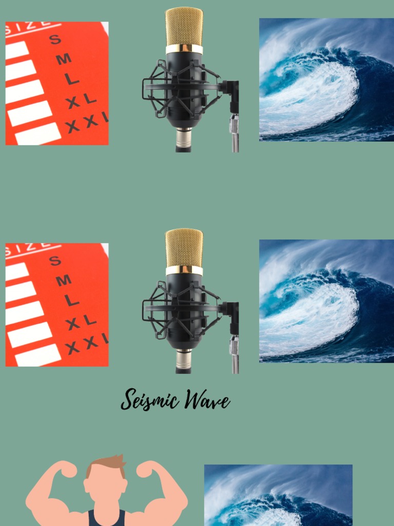 Seismic Waves | PDF | Seismology | Motion (Physics)