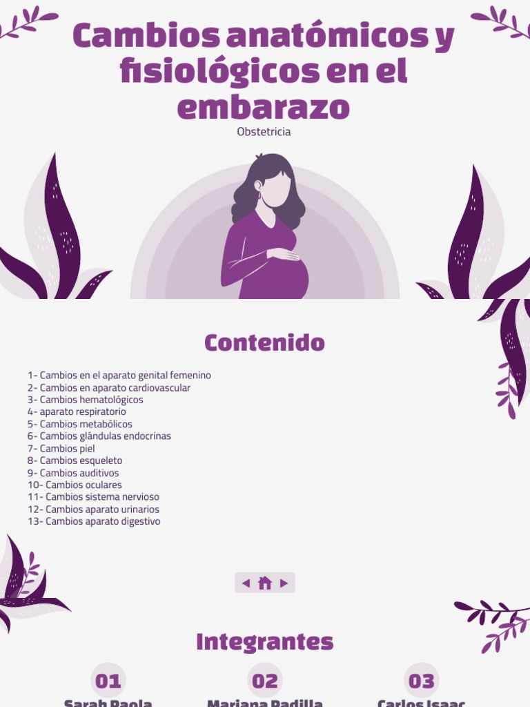 Cambios Anatómicos y Fisiológicos Durante El Embarazo | PDF | El ...