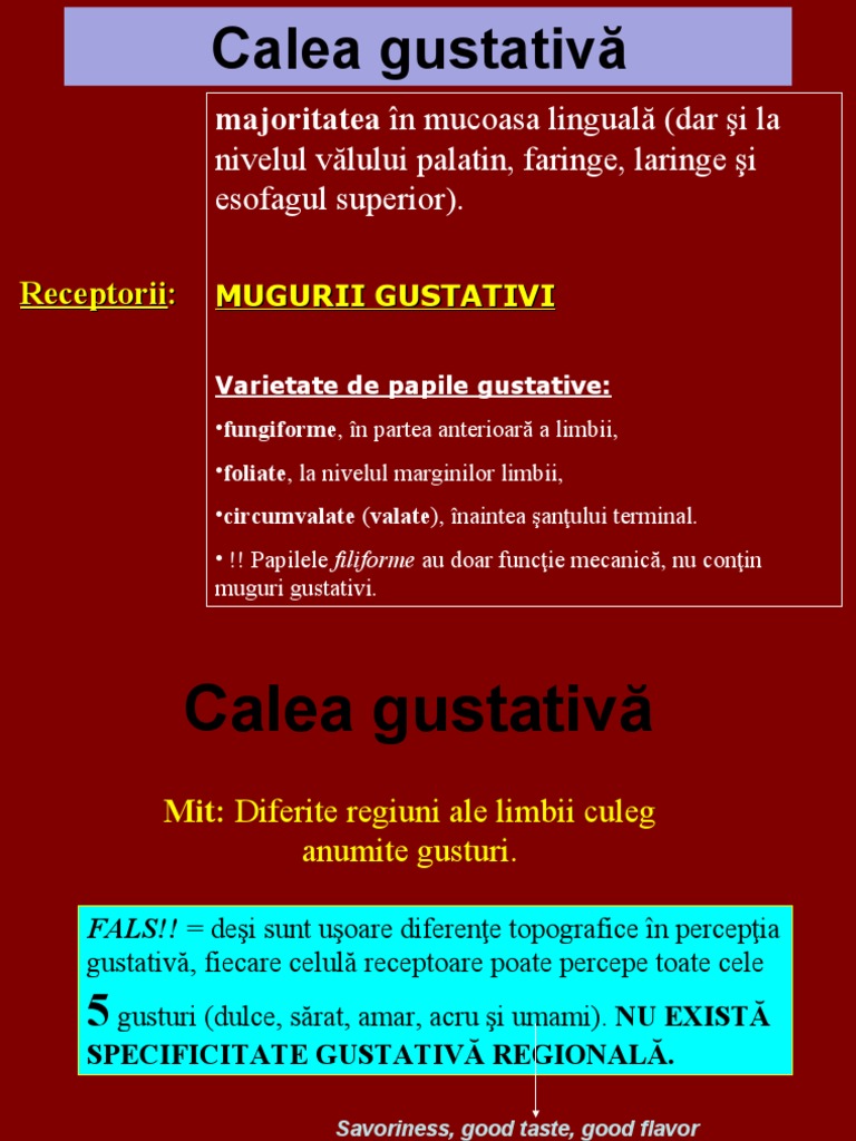 Calea Gustativa | PDF