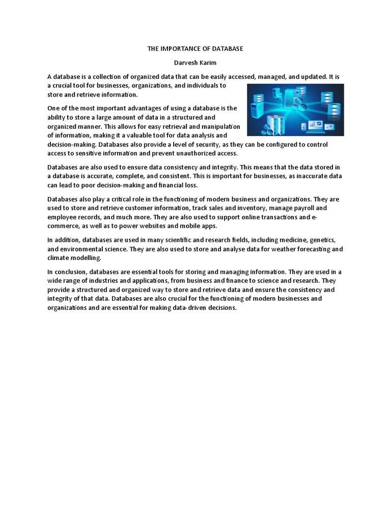 The Importance of Database | PDF