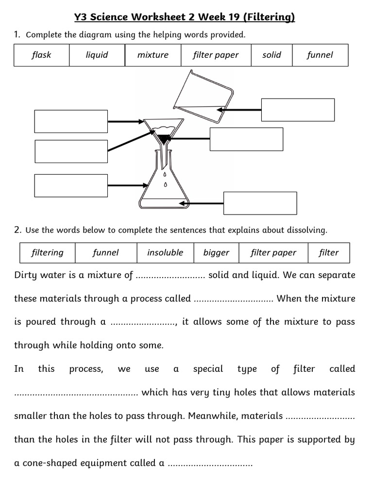 Y3 Science Worksheet 2 Week 19 (Filtering) | PDF