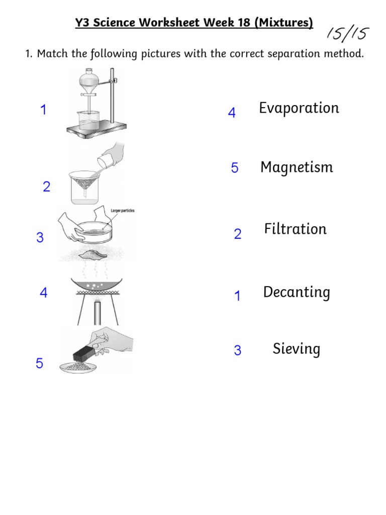 Y3 Science Worksheet Week 18 - Mark Scheme | PDF
