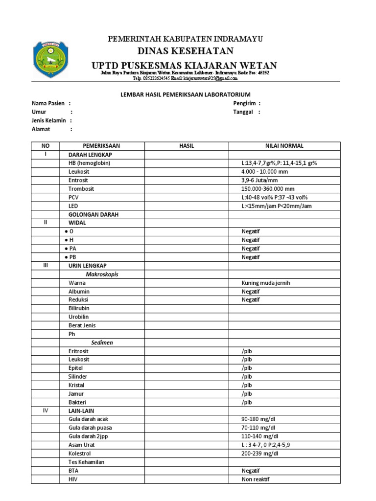 Lembar Hasil Pemeriksaan Laboratorium | PDF