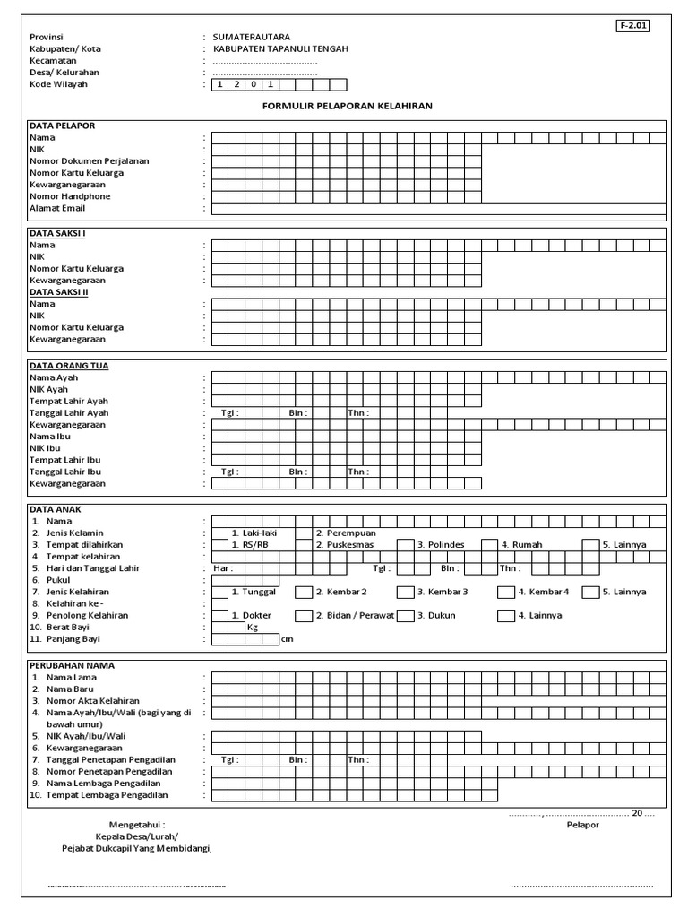 Formulir Pelaporan Kelahiran Bayi | PDF