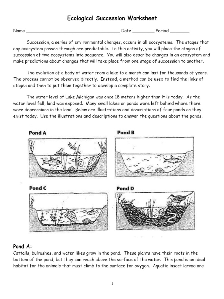 Ecological Succession Worksheet Pond KEY | PDF
