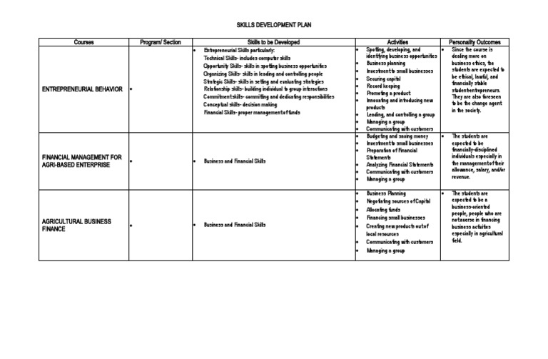 Skills Development Plan | PDF | Entrepreneurship | Business