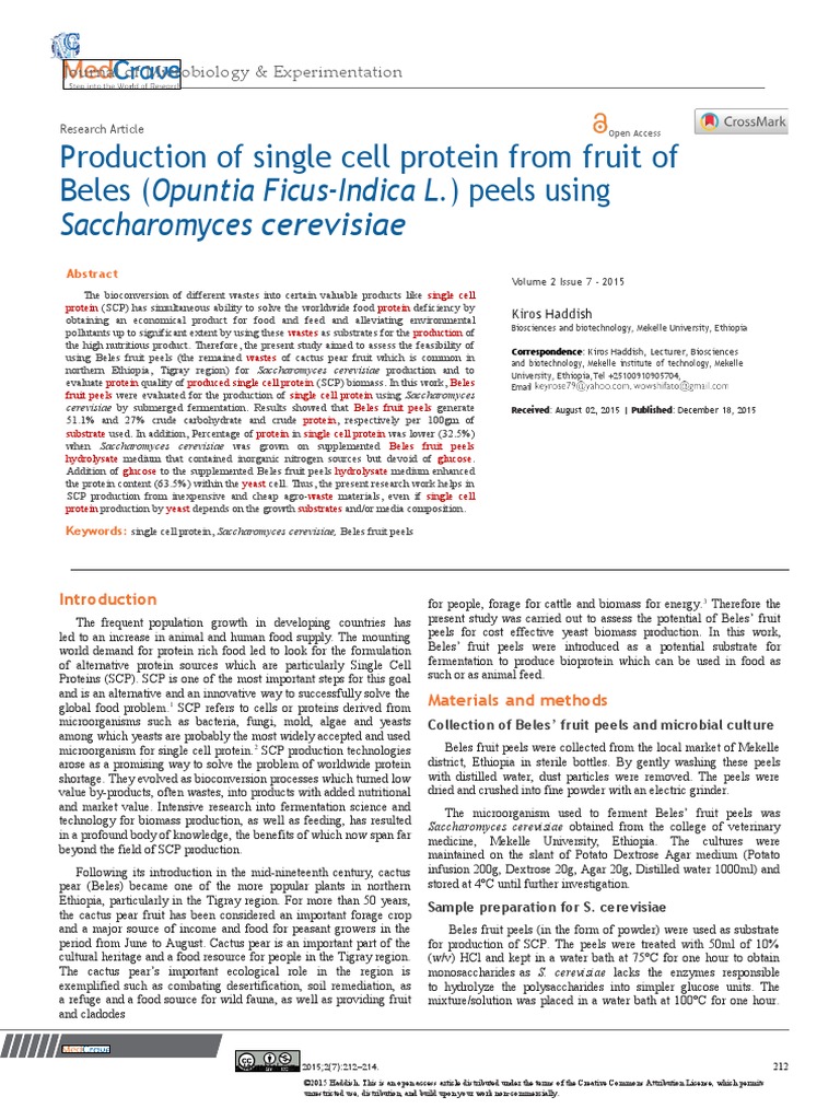 Production of Single Cell Protein From Fruit of Beles | PDF | Yeast ...