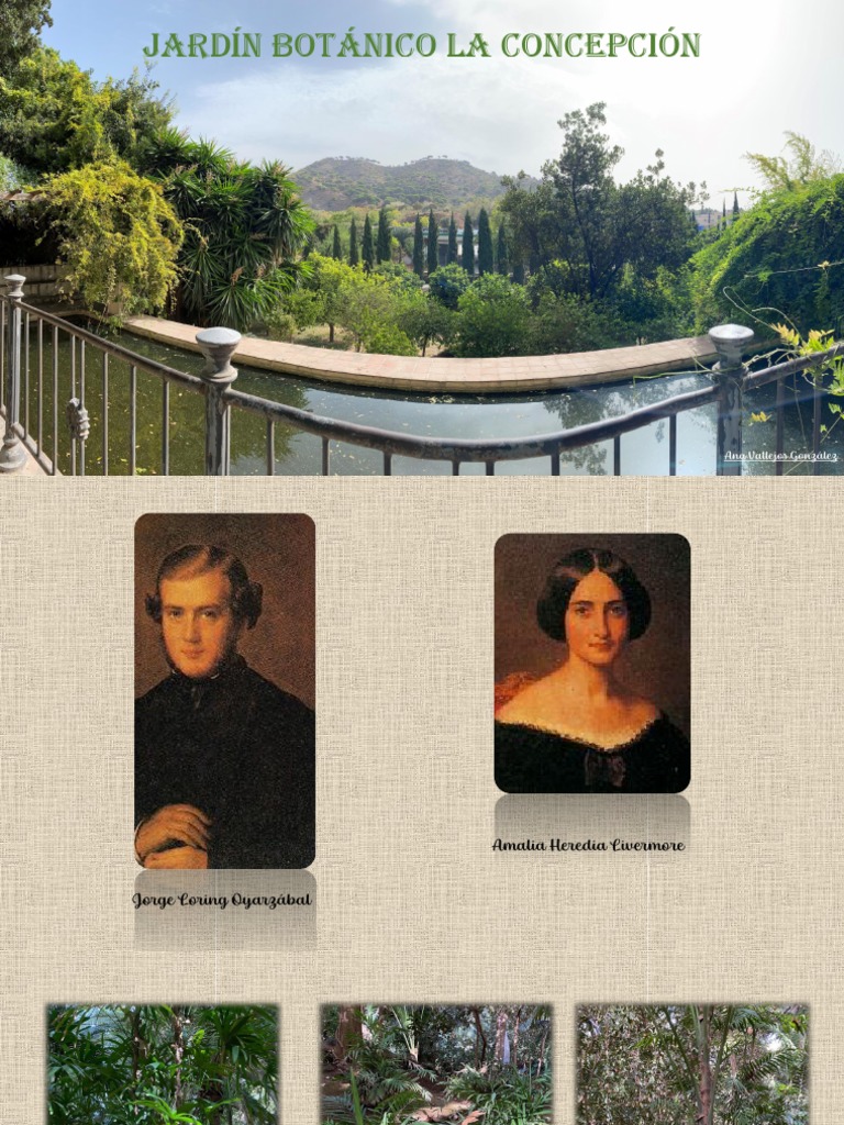 Jardín Botánico La Concepción | PDF