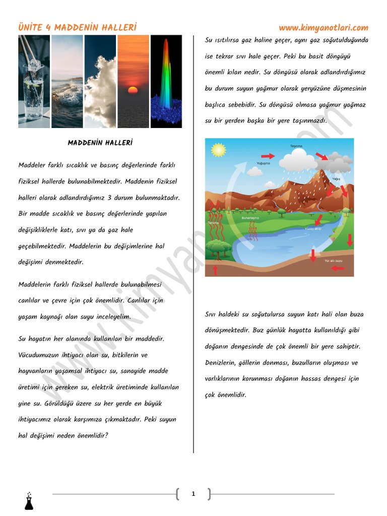 MADDENİN Halleri | PDF