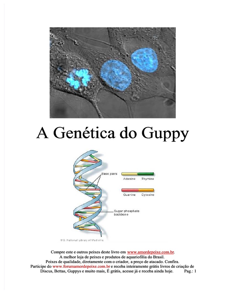 Genetic A Guppy | PDF | Alelo | Gene