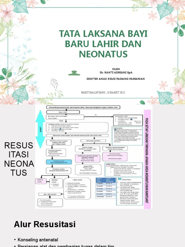 Tatalaksana Bayi Baru Lahir | PDF