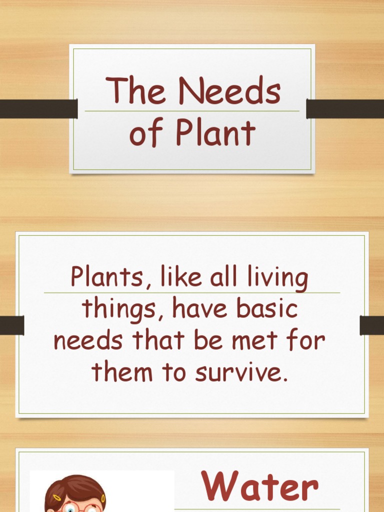 The Needs of Plant | PDF