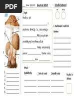 Project 2 - Test Unit 6 | PDF
